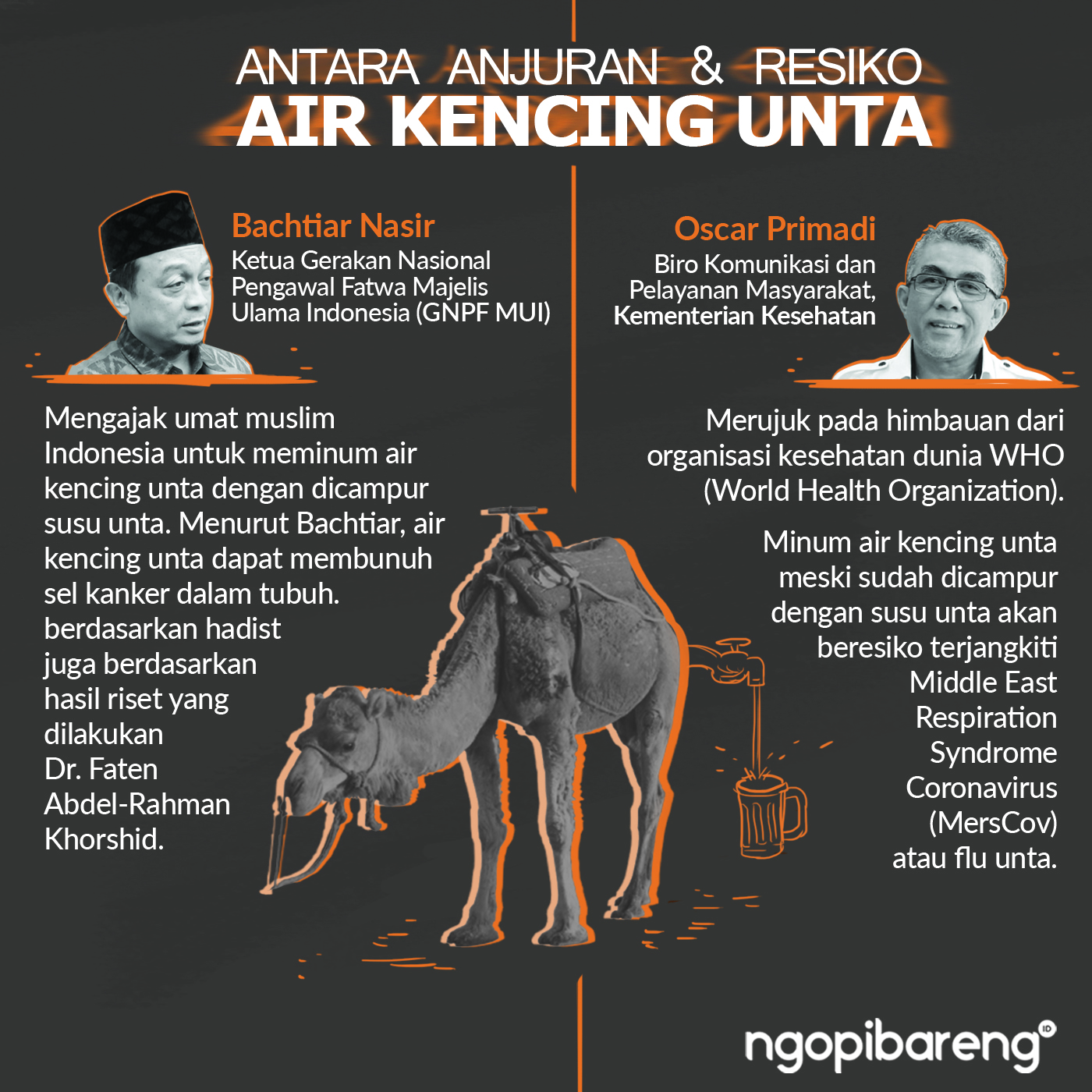 Ini Resiko Jika Minum Kencing Unta