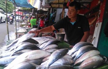 Pemanasan Pedagang Bandeng Jumbo di Rawa Belong Sambut Imlek
