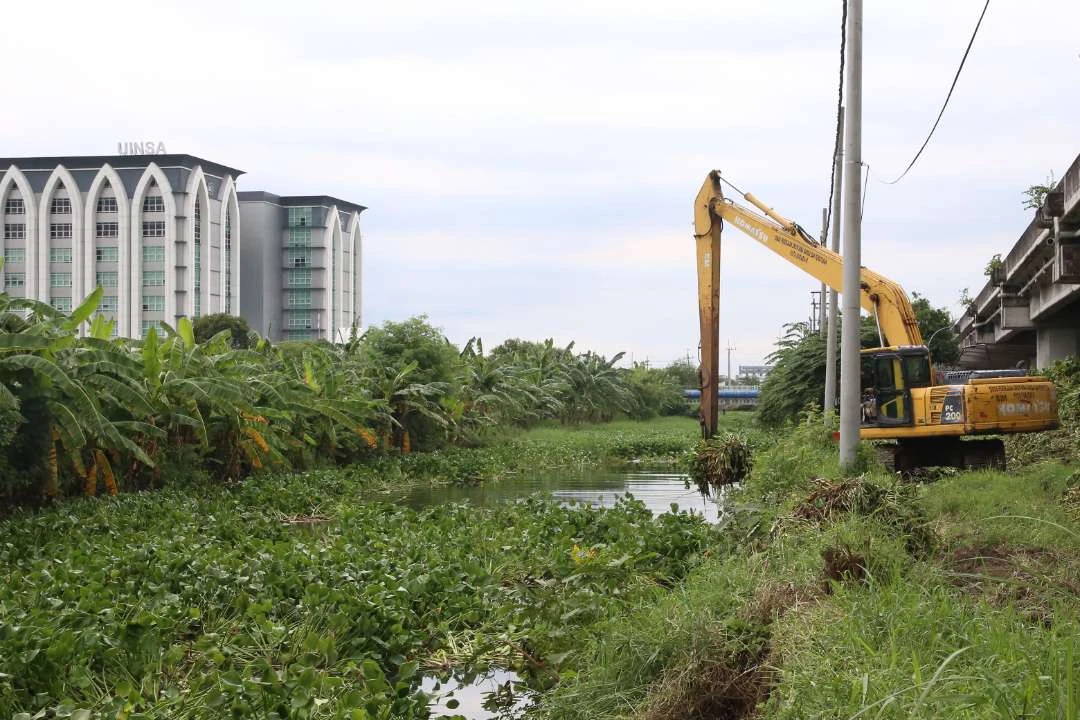 Pemkot Surabaya Ambil Langkah Darurat, Bersihkan Eceng Gondok di Kali ...