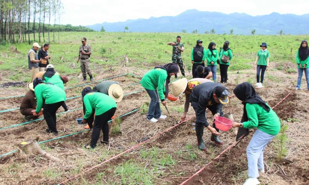 Polres Bondowoso dan Dispertapang Siapkan 28 Hektare Lahan Jagung untuk Dukung Swasembada Pangan