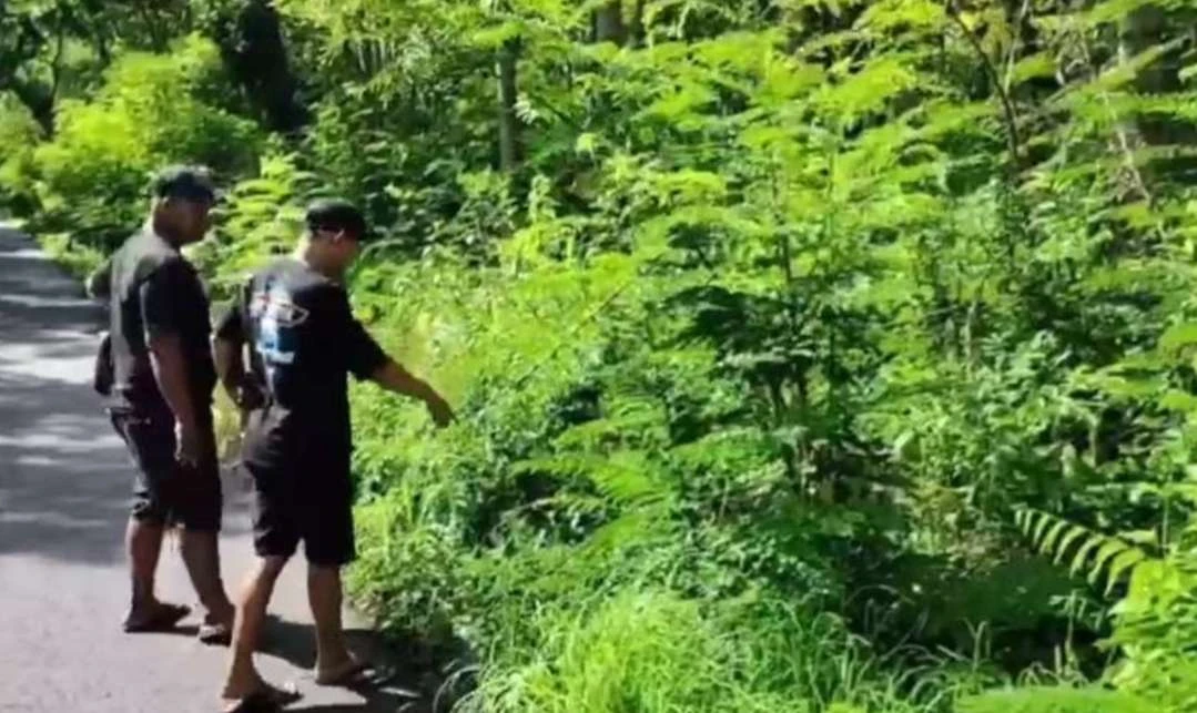 Paket Isi Potongan Tubuh di Ponorogo, Diduga Bagian Mayat Mutilasi di Ngawi