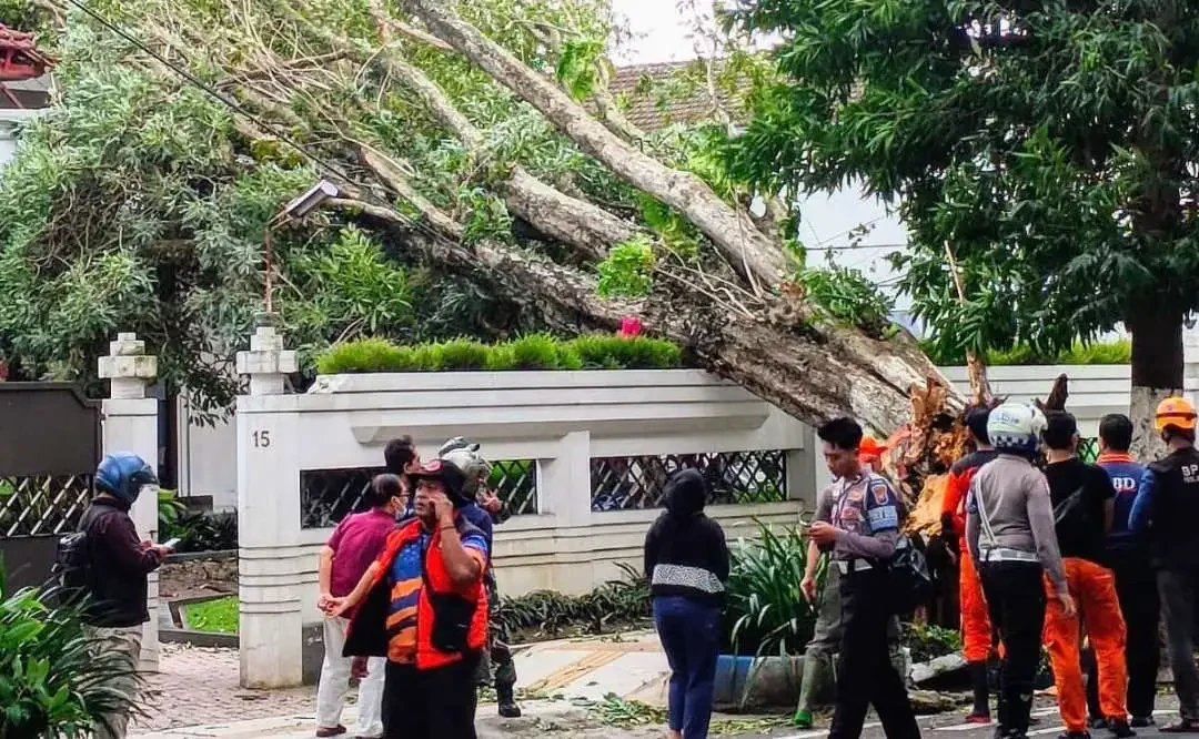 Cuaca Ekstrem dan Kecepatan Angin di Jawa Timur pada 17-28 Februari 2025
