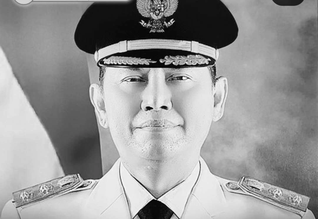 Bupati Way Kanan Ali Rahman Meninggal 18 Hari Setelah Dilantik Presiden ...