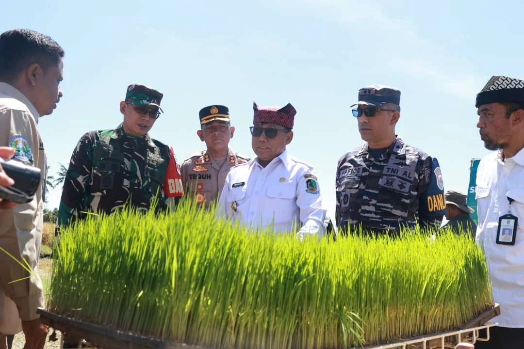 Banyuwangi Ikuti Panen Raya Padi Serentak, Dukungan Program Swasembada Pangan Presiden