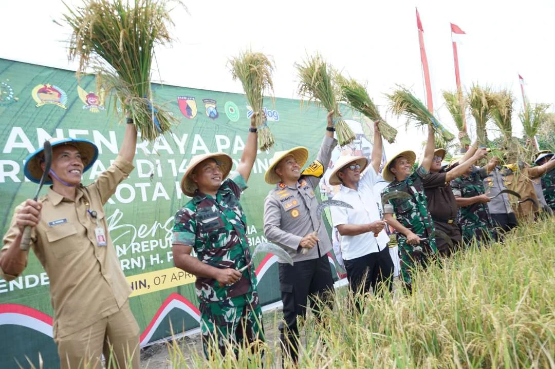 Wakil Walikota Kediri Ikuti Panen Padi Serentak 14 Provinsi Bersama Presiden