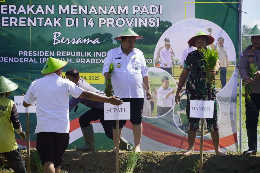 Pemkab Blora Perkuat Ketahanan Pangan Nasional Lewat Gerakan Tanam Padi Serentak