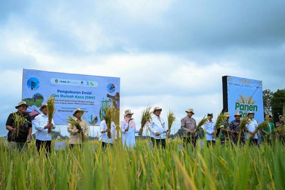 Ekosistem Beras Biofortifikasi, Langkah Strategis Perbaiki Gizi dan Jaga Stabilitas Harga Pangan