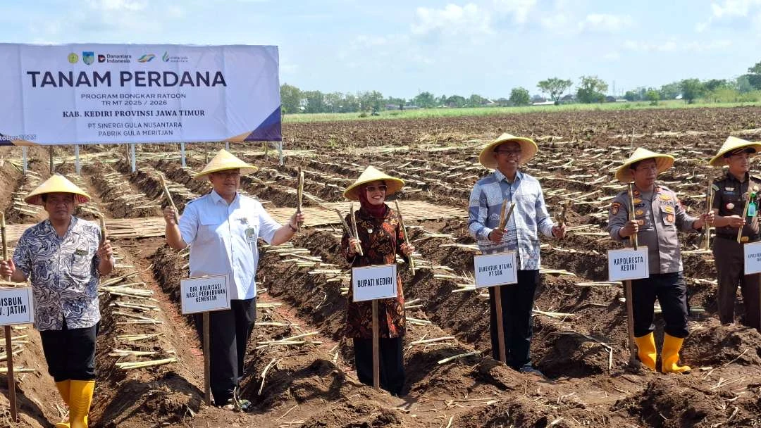 PG Meritjan Kediri Dorong Program Bongkar Ratoon Demi Terwujudnya Swasembada Gula Nasional